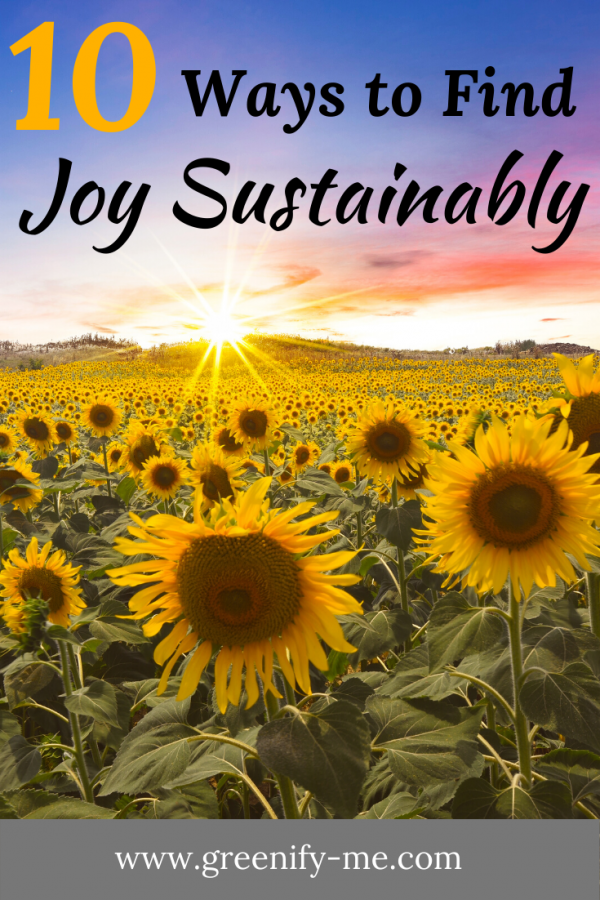 10 Ways to Find Joy Sustainably - Greenify Me