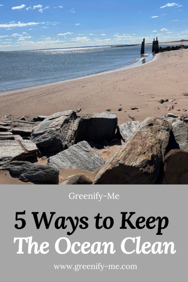 5 Best Ways to Keep The Ocean Clean - Greenify Me