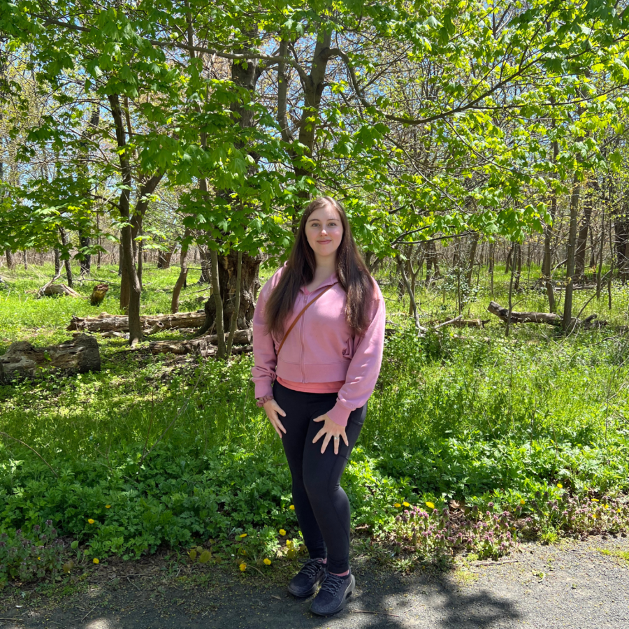Save The Trees: 5 Easy Ways to Protect Forests + Urban Landscapes ...